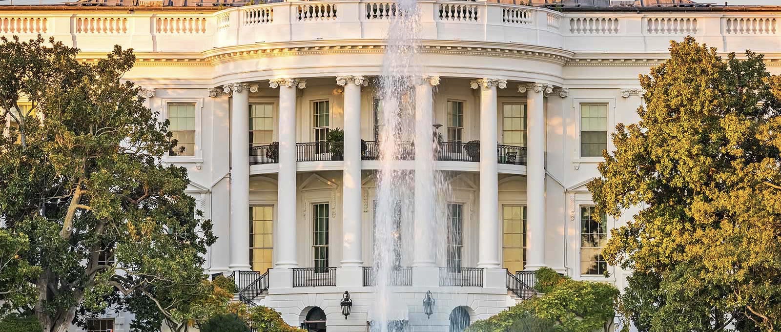 The Powers of the Executive Branch - The Founding Project